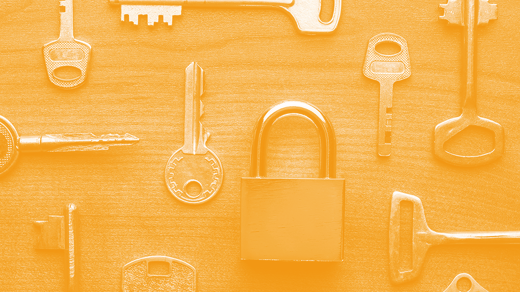 Portfolio Intelligence | SEI Novus